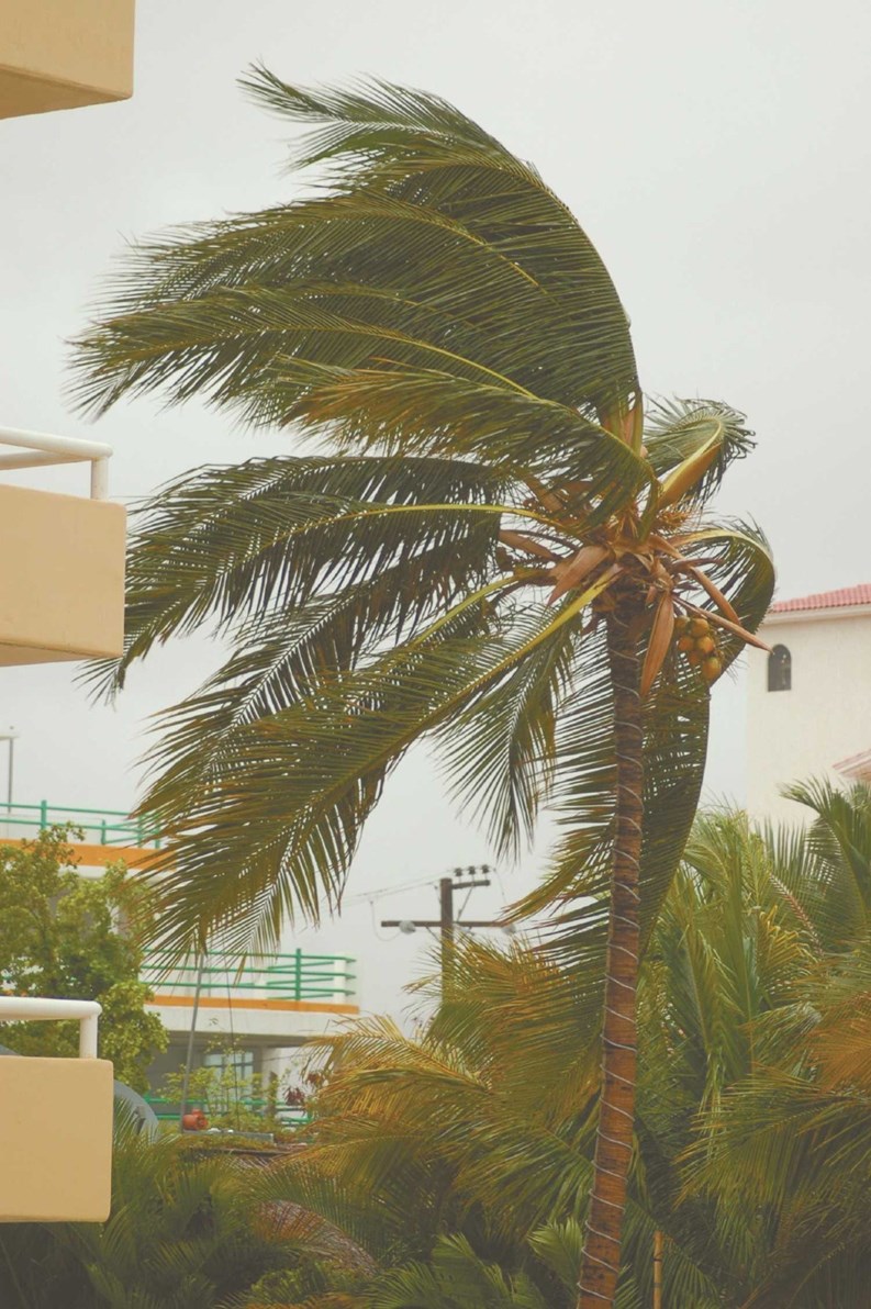 Wind Coverage Picking Up in Florida's Insurance Market - A Mighty Wind ...